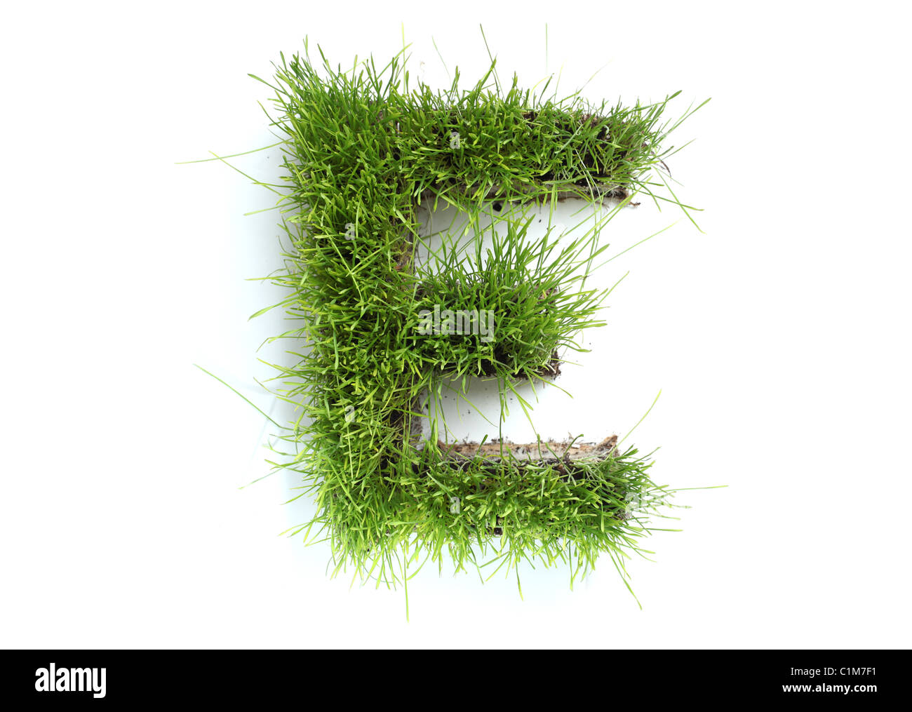 E plant letters hi-res stock photography and images - Alamy