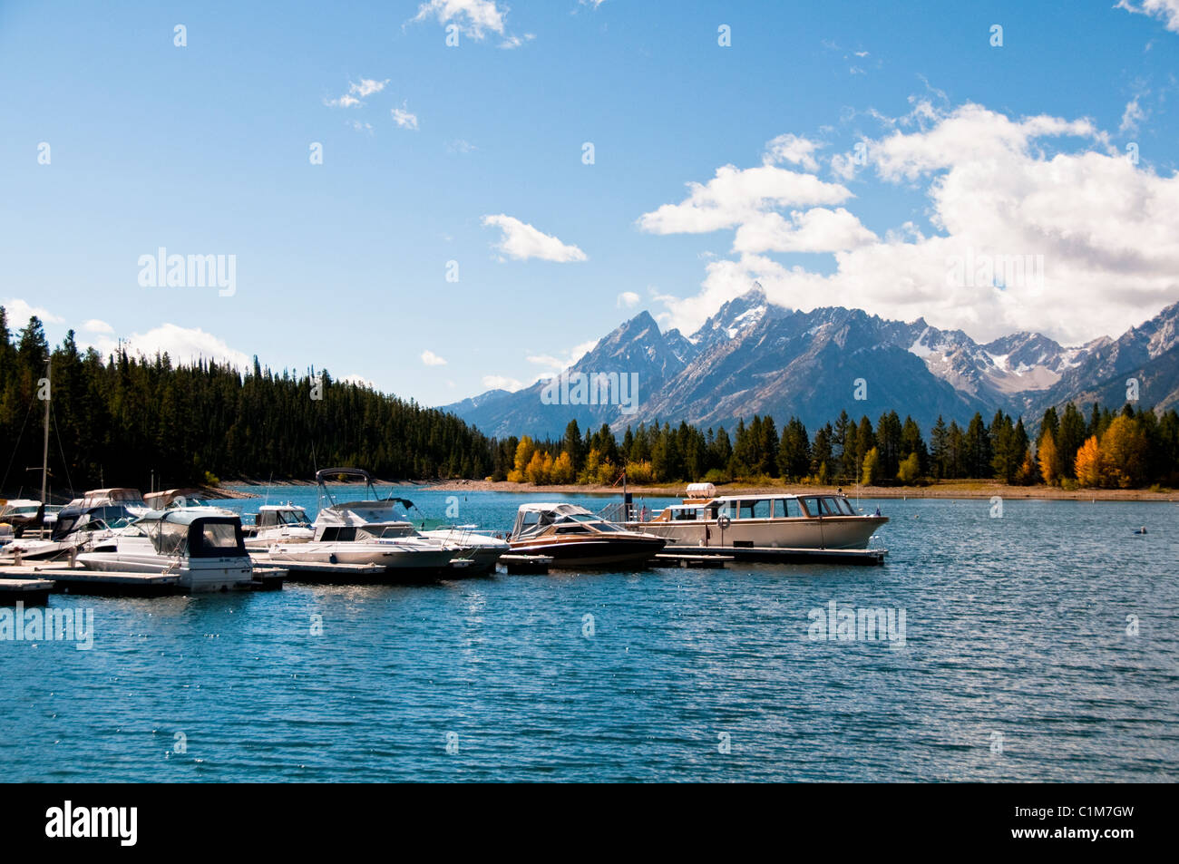 Colter Bay,Leeks Marina,Aspens in Fall Colours,Colors,Jackson Lake ...