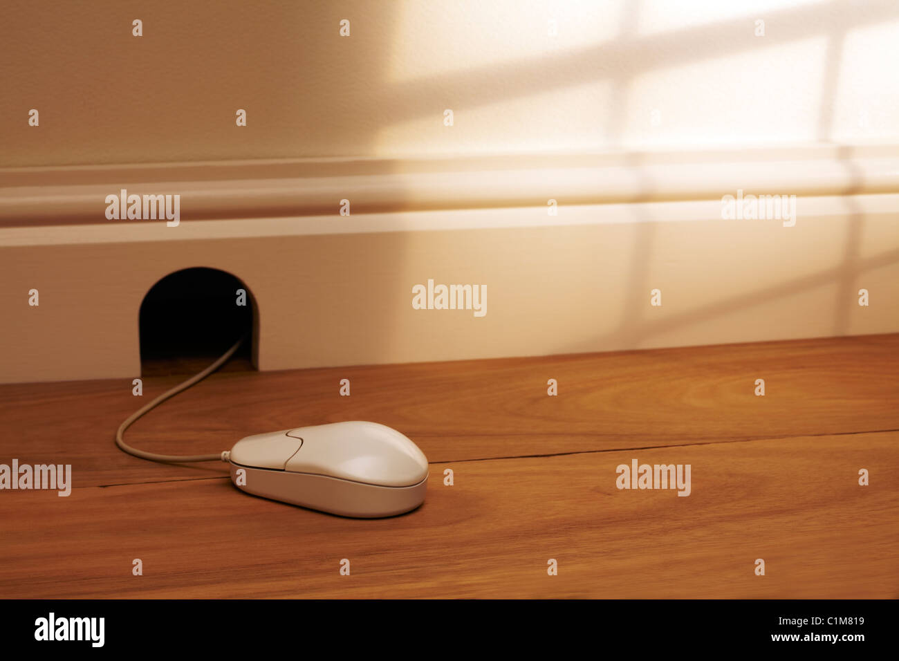 Computer Mouse Outside Mouse Hole Stock Photo - Alamy