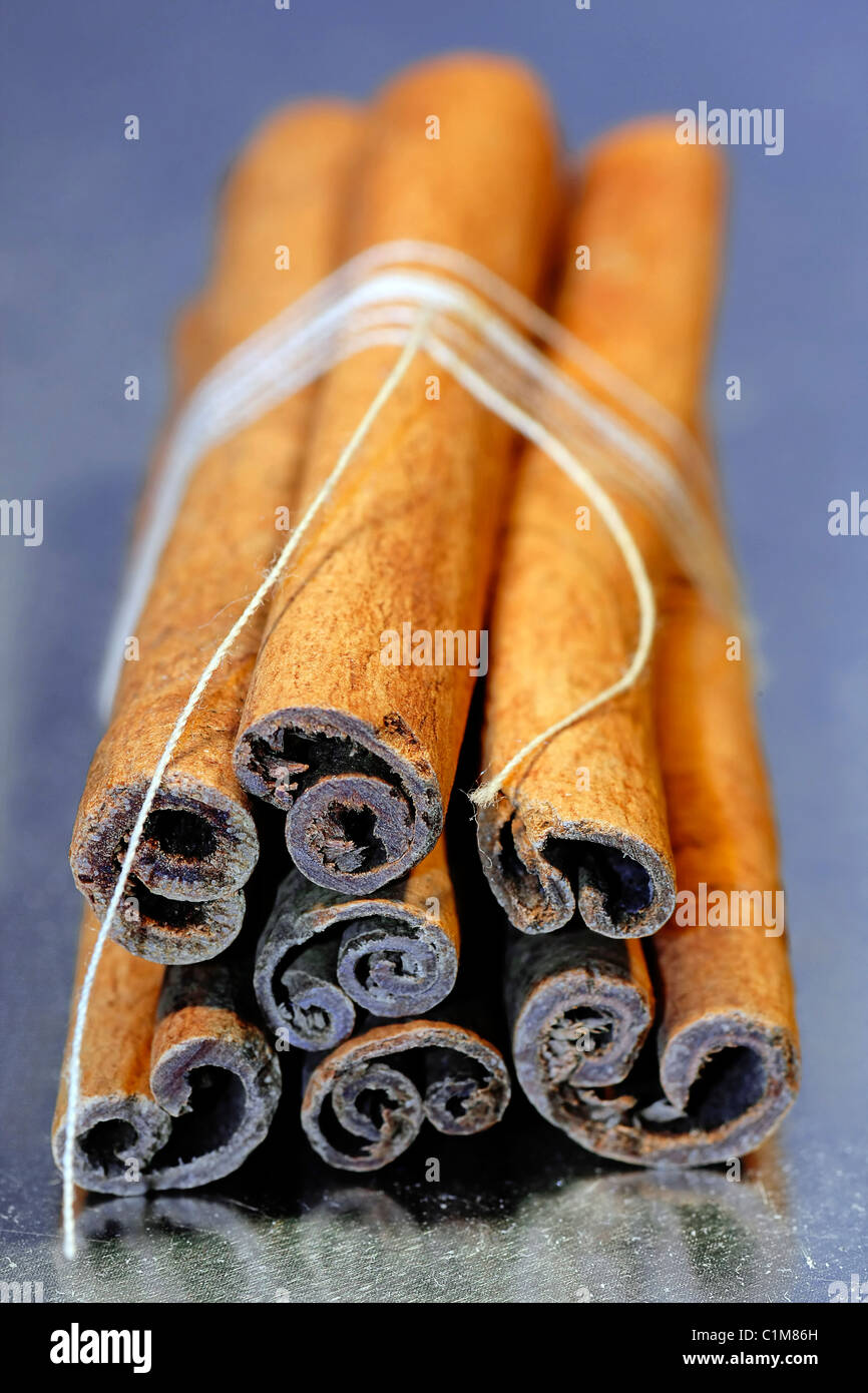 Cinnamon sticks tied with a string isolated on a gray background Stock ...