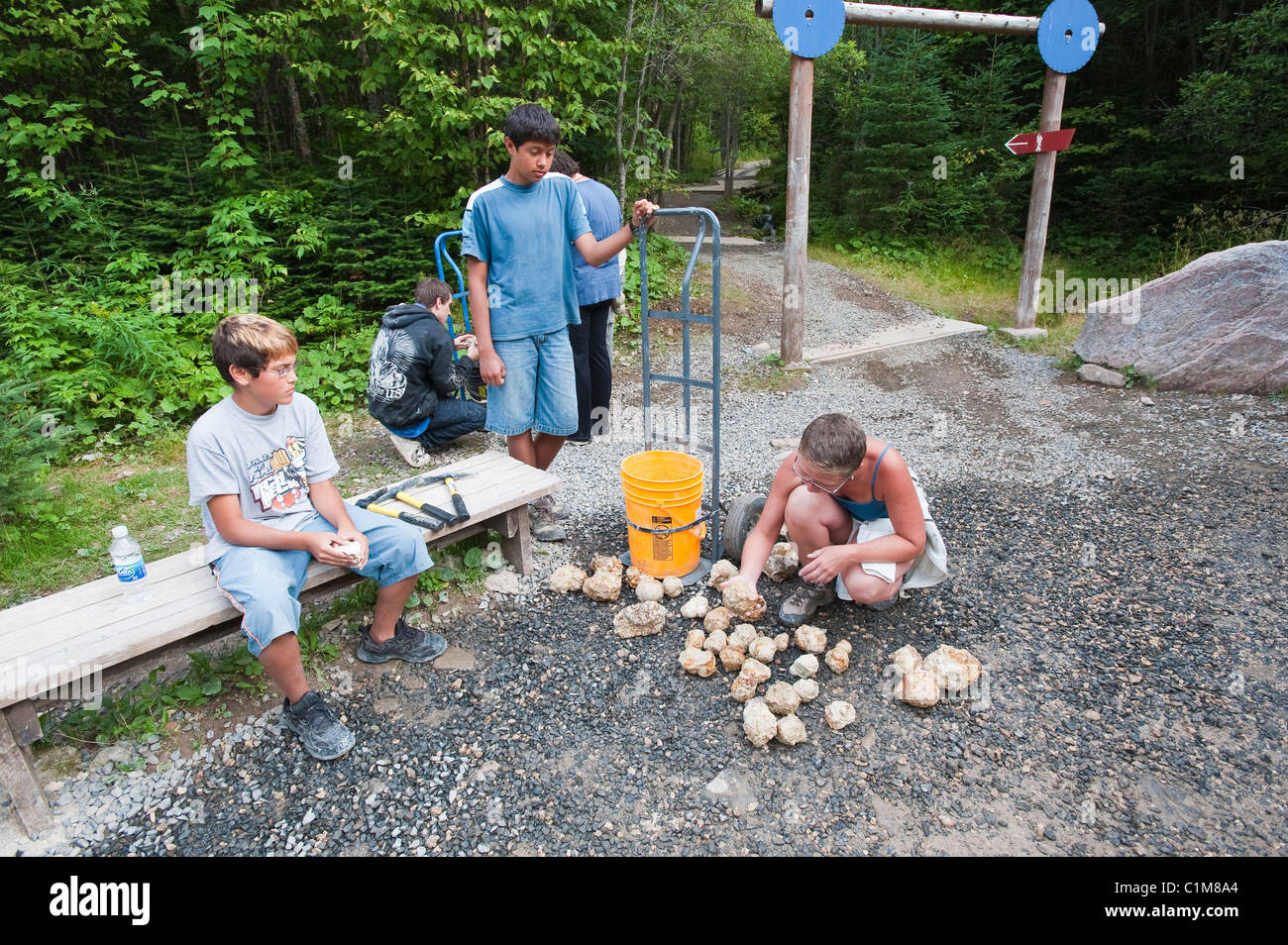 Collecting agate rocks at Mine d'agates du Mont Lyall in Gaspésie ...