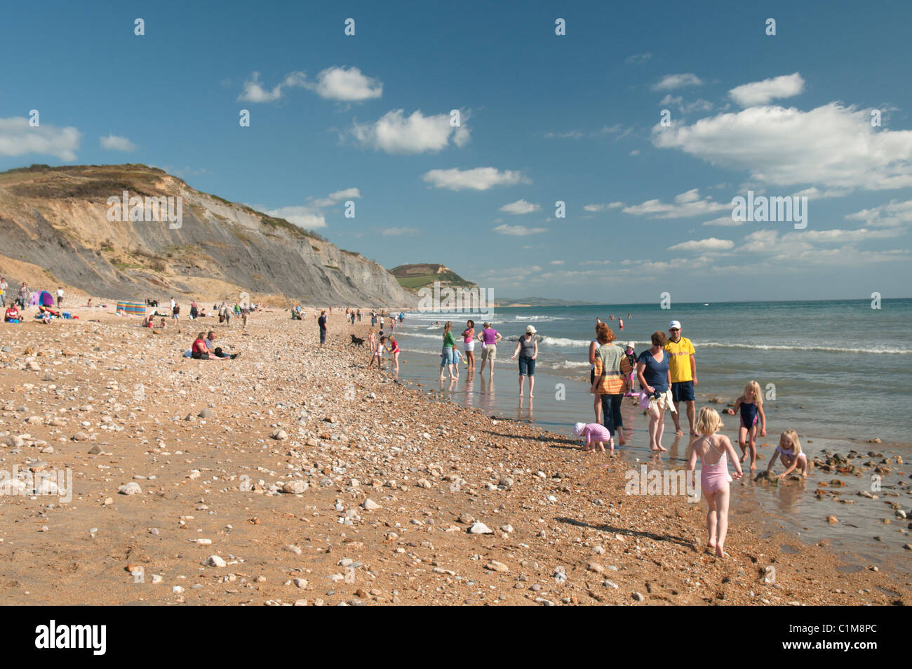 Charmouth dorset cliffs hi-res stock photography and images - Alamy