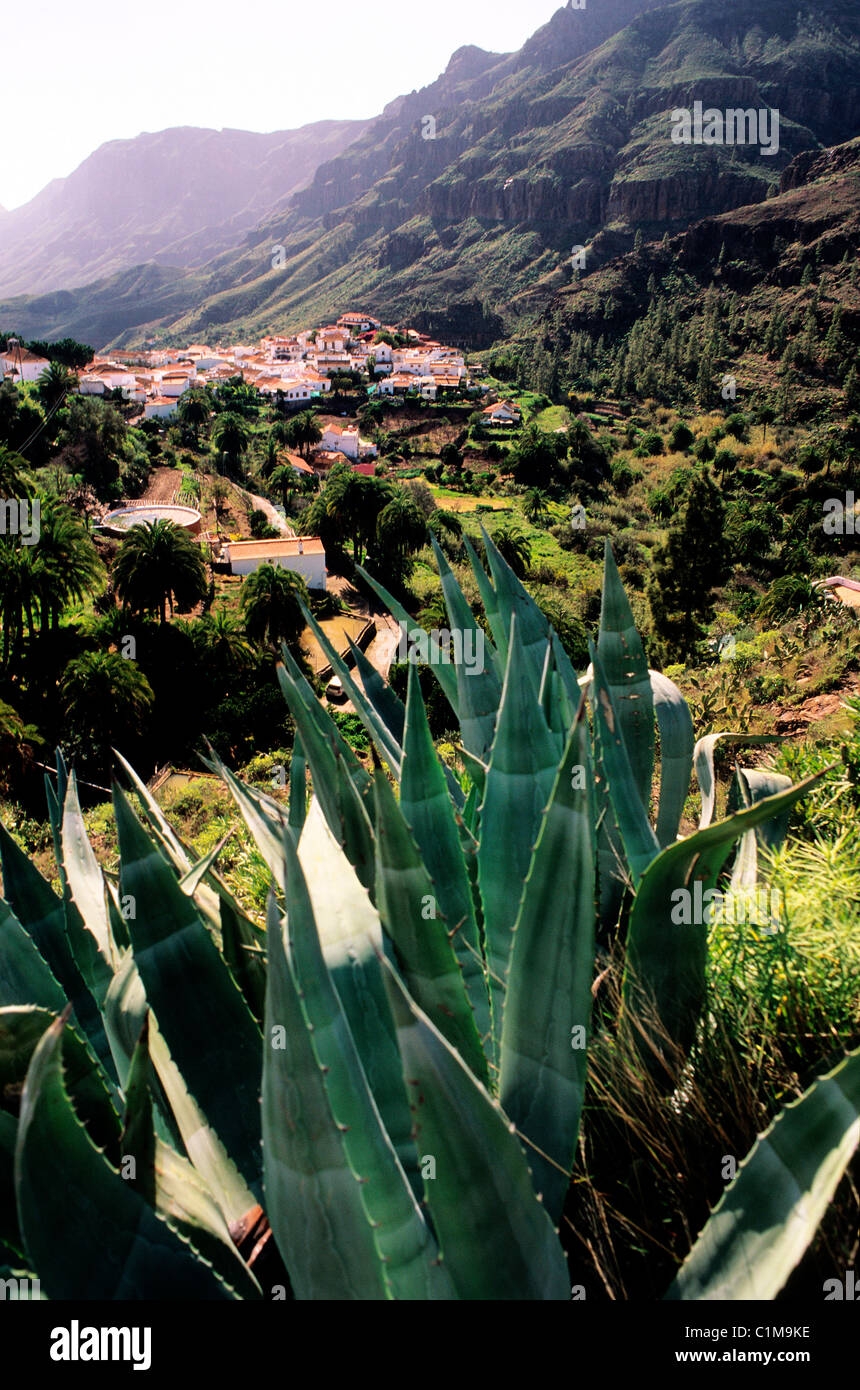 Spain, Canary Islands, Gran Canaria Island, village of Fataga Stock ...