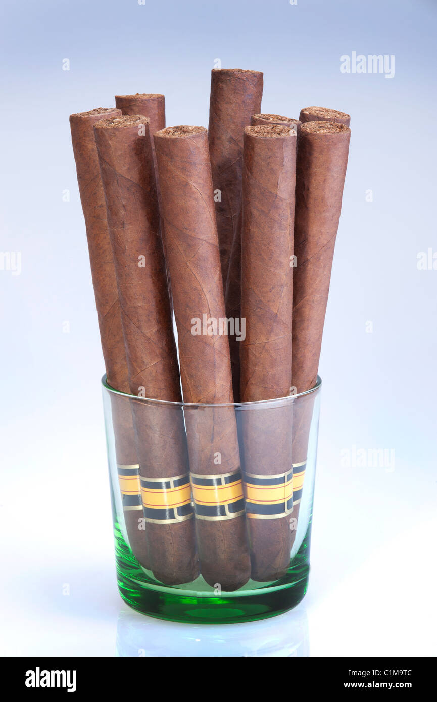 Nine long cigars in a glass Stock Photo - Alamy