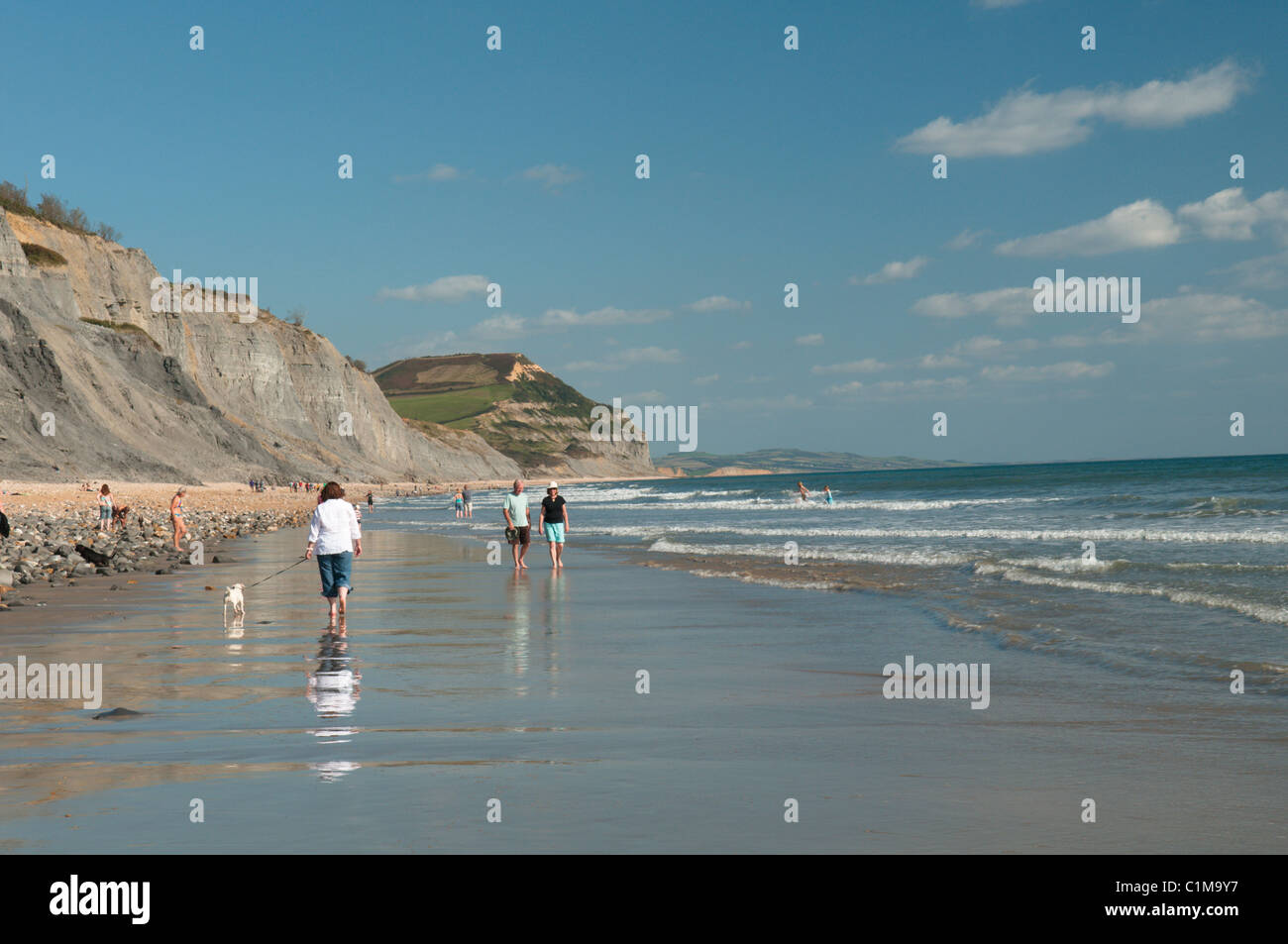 Charmouth dorset cliffs hi-res stock photography and images - Alamy