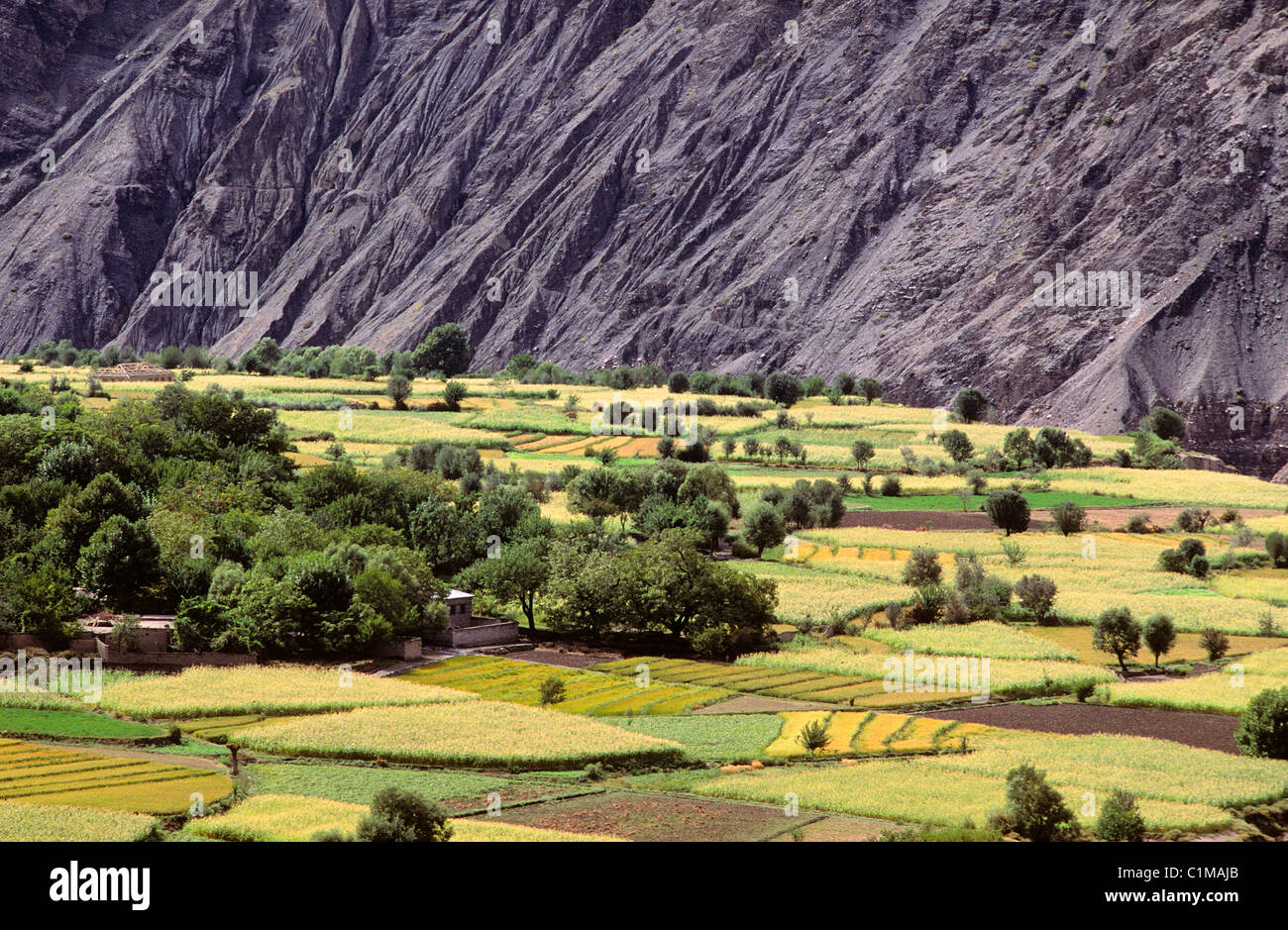 Chitral hi-res stock photography and images - Alamy