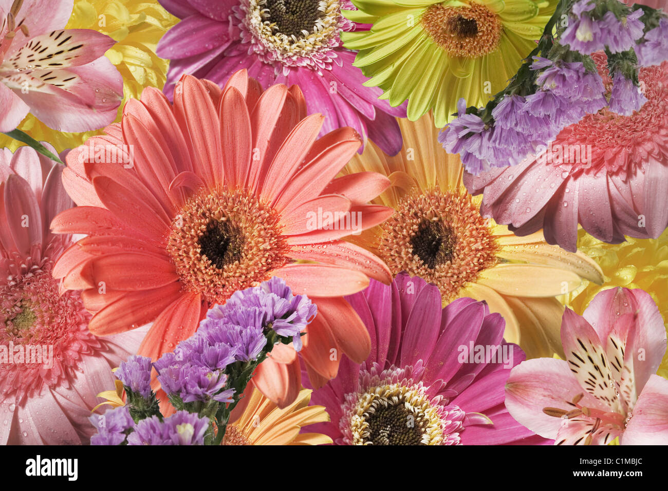 Assorted flower background Stock Photo - Alamy