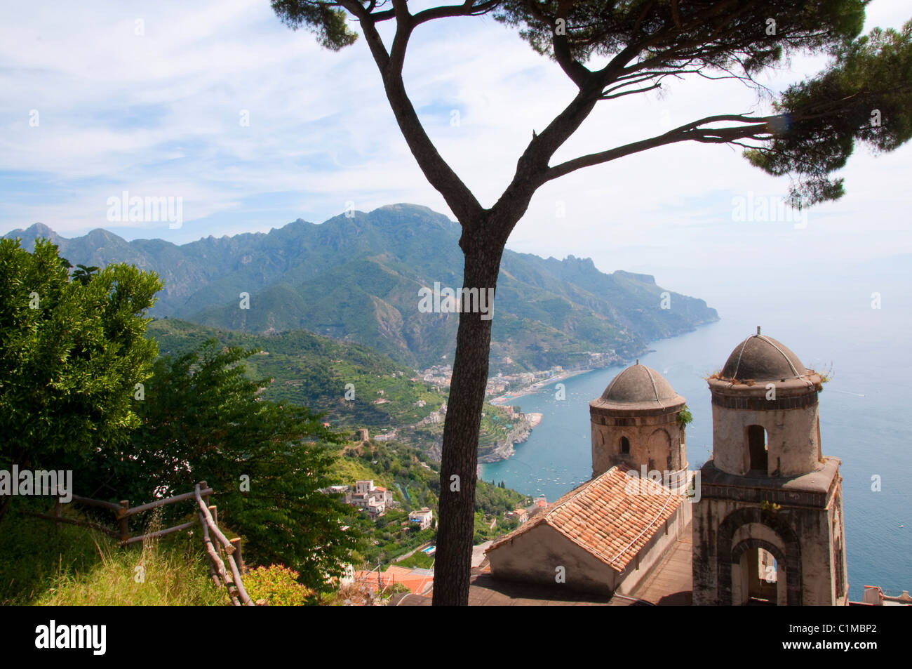 Pine tree watches over the Amalfi Coast and the Bay of Salerno in ...