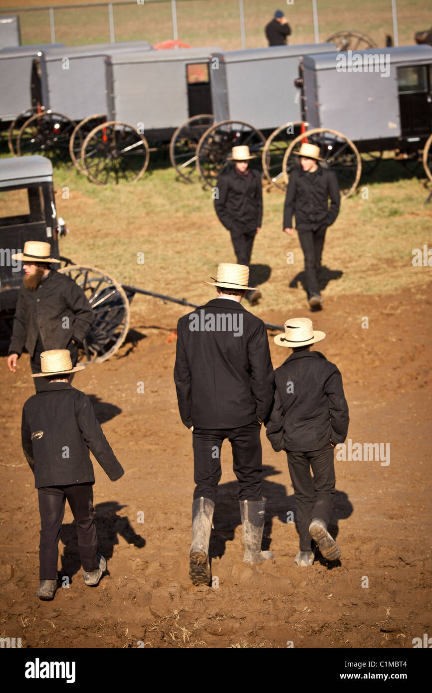 Amish man walks with his boys at the annual Mud Sale and auction ...