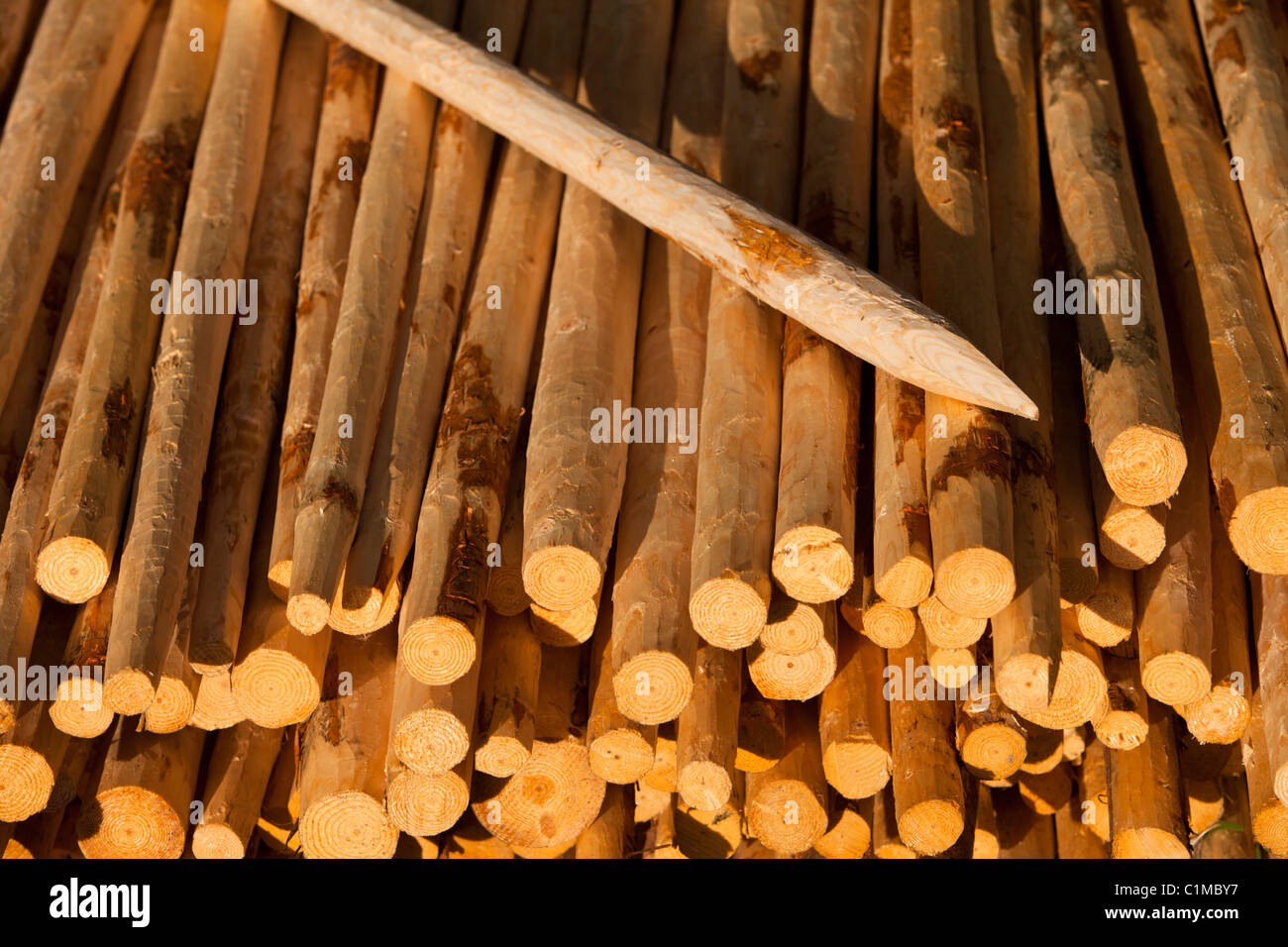 Sharpened wooden poles used for fences , Finland Stock Photo - Alamy
