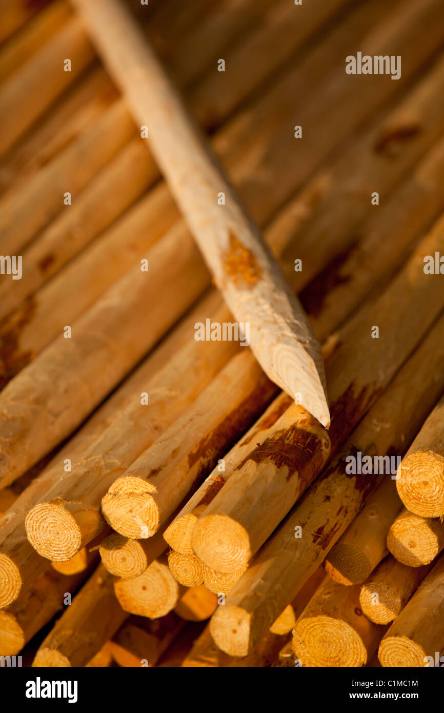 Sharpened wooden poles used for fences , Finland Stock Photo - Alamy