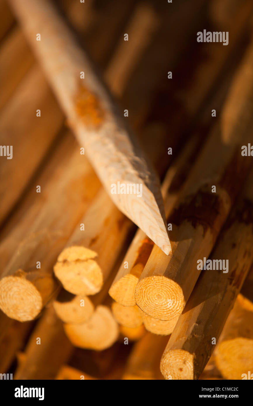 Sharpened wooden stake poles used for fences , Finland Stock Photo - Alamy
