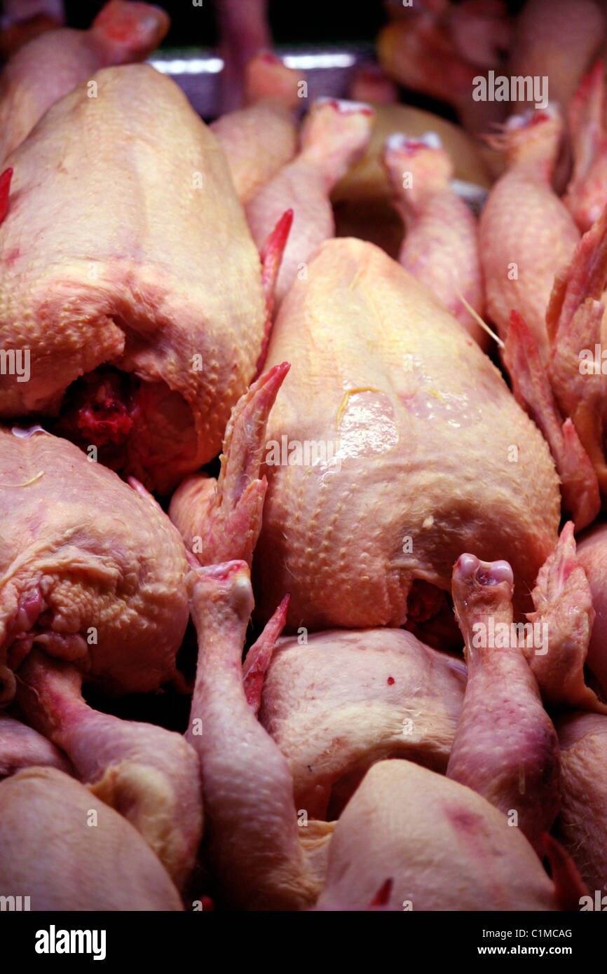 Featherless chicken hi-res stock photography and images - Alamy