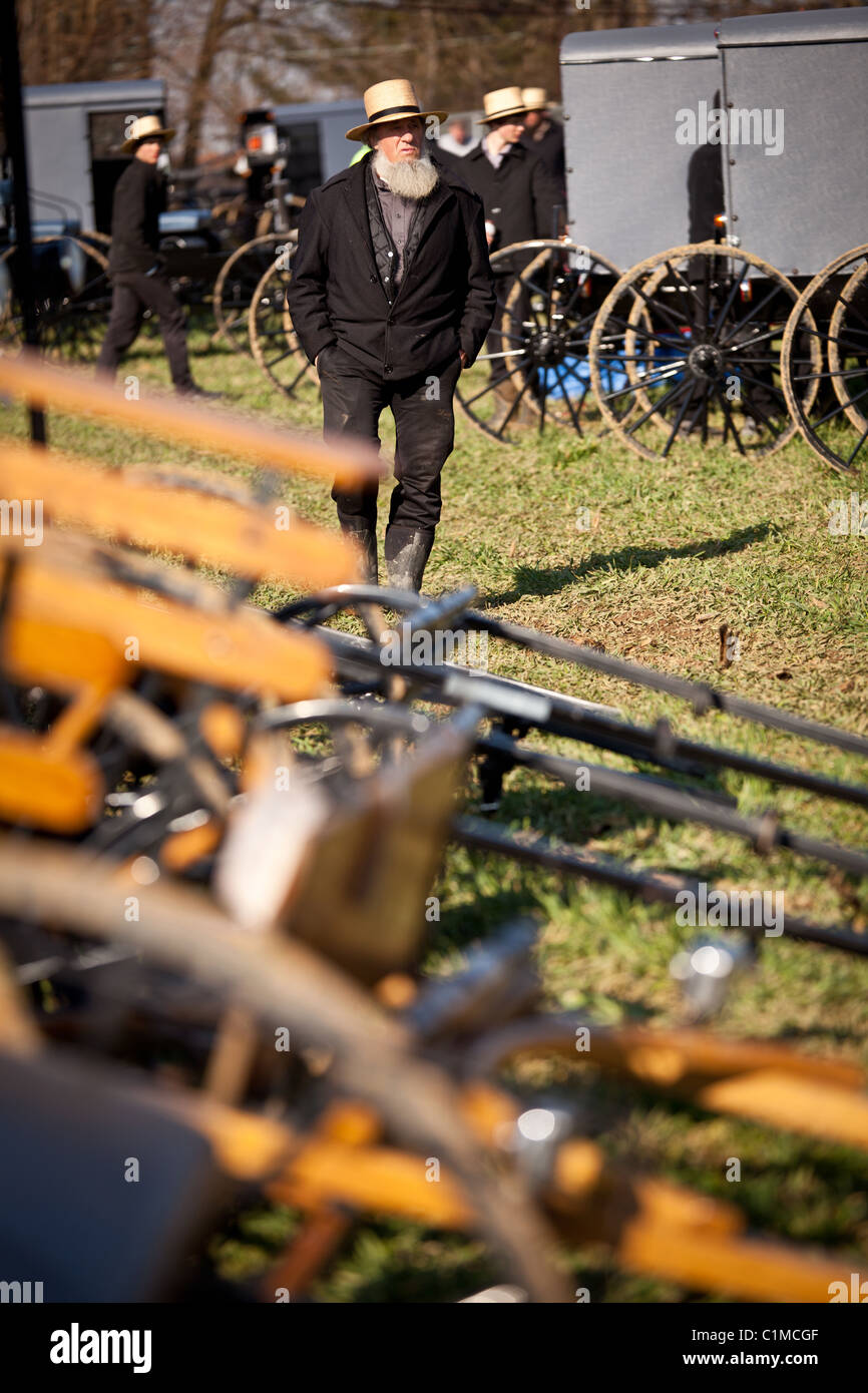 Amish man inspects a horse buggy during the Annual Mud Sale to support ...
