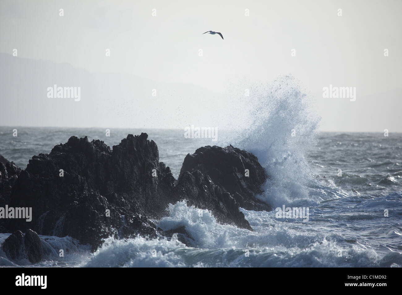 Ferocious storm hi-res stock photography and images - Alamy