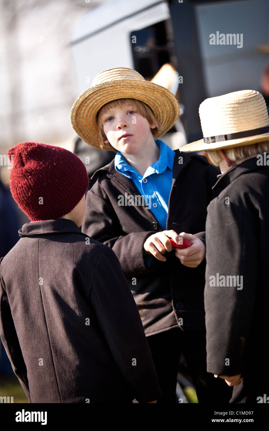 Amish boys during the Annual Mud Sale to support the Fire Department in ...