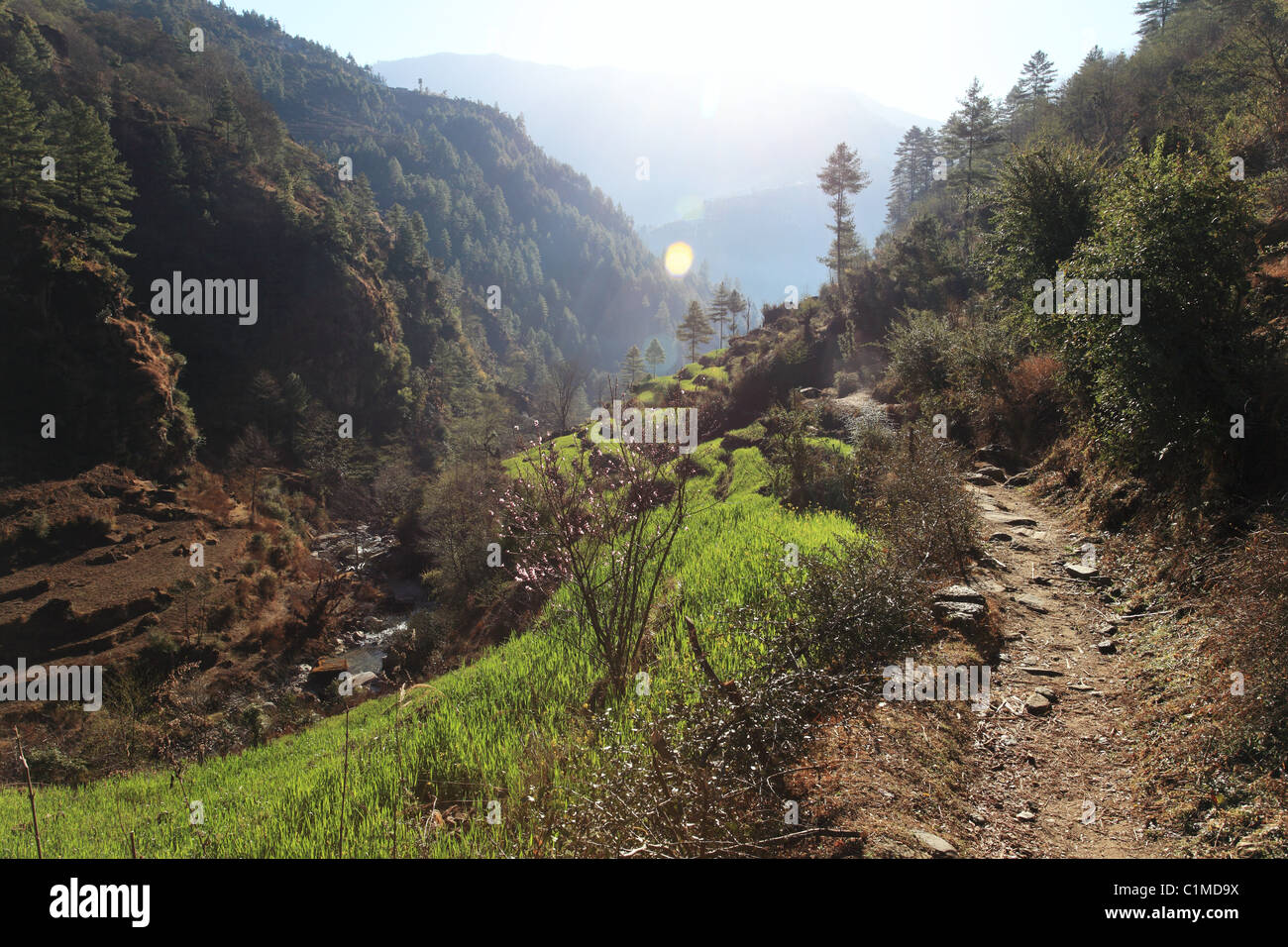 Nepali landscape Nepal Himalaya Stock Photo - Alamy