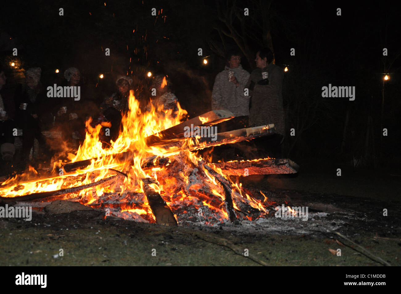 Back garden night hi-res stock photography and images - Alamy