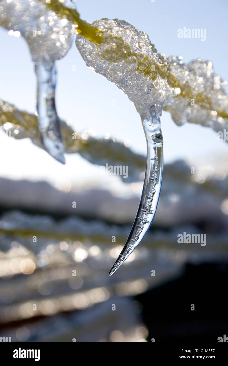 Sky icicles hi-res stock photography and images - Alamy