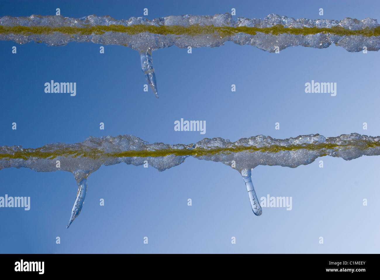 icicles ice drops frozen line sky blue winter water clear cool freeze ...