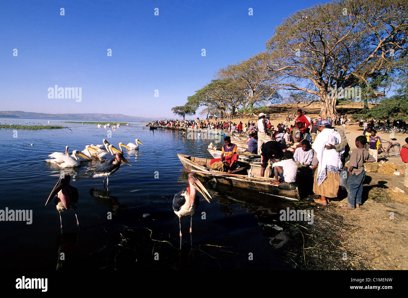Ethiopia, Rift valley, the fish market of the lake Awasa Stock Photo ...