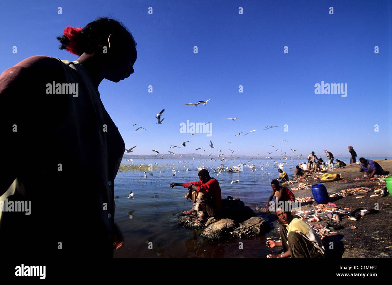 Ethiopia, Rift valley, the fish market of the lake Awasa Stock Photo ...
