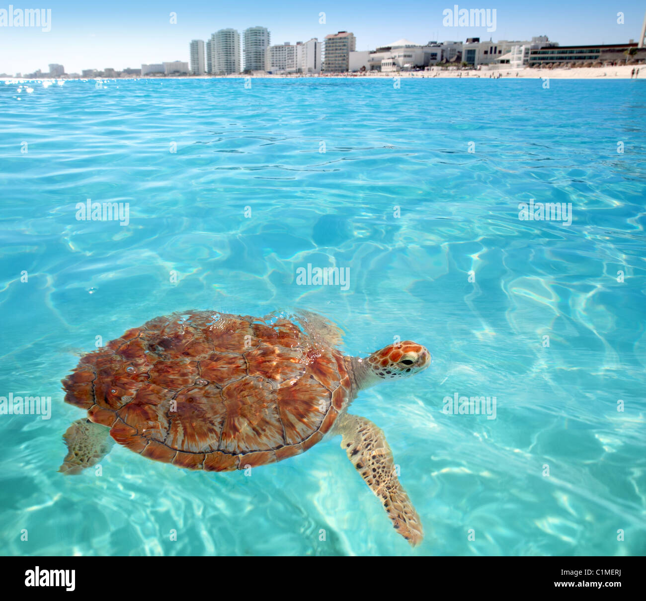 Mexico sea hi-res stock photography and images - Alamy