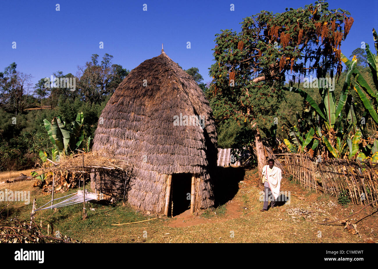 Ethiopia, Rift valley, Dorze village, typical hut Stock Photo - Alamy