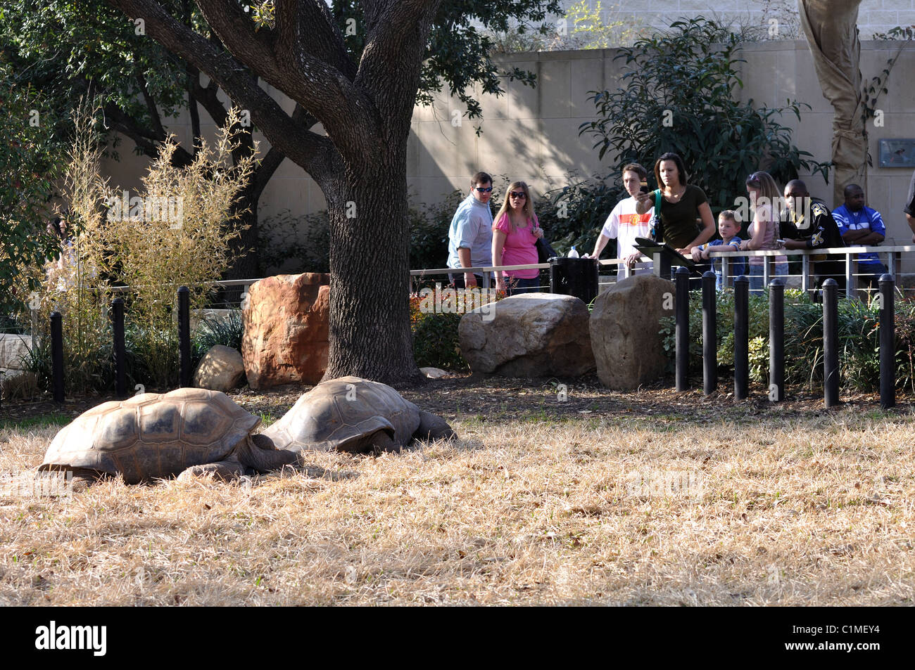 Does The Fort Worth Zoo Sell Alcohol at Nathan Lozano blog