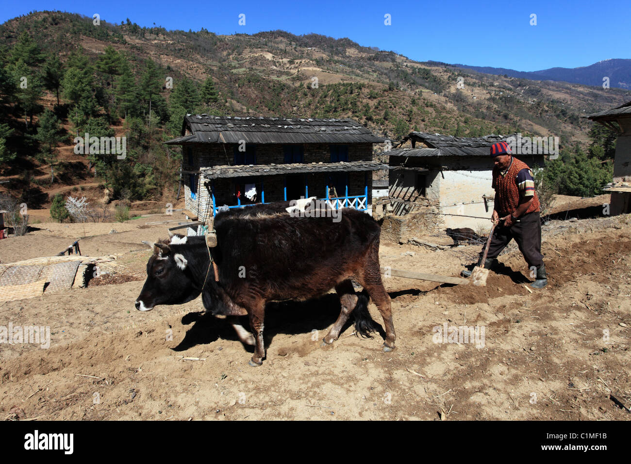Nepali man at himalaya hi-res stock photography and images - Alamy
