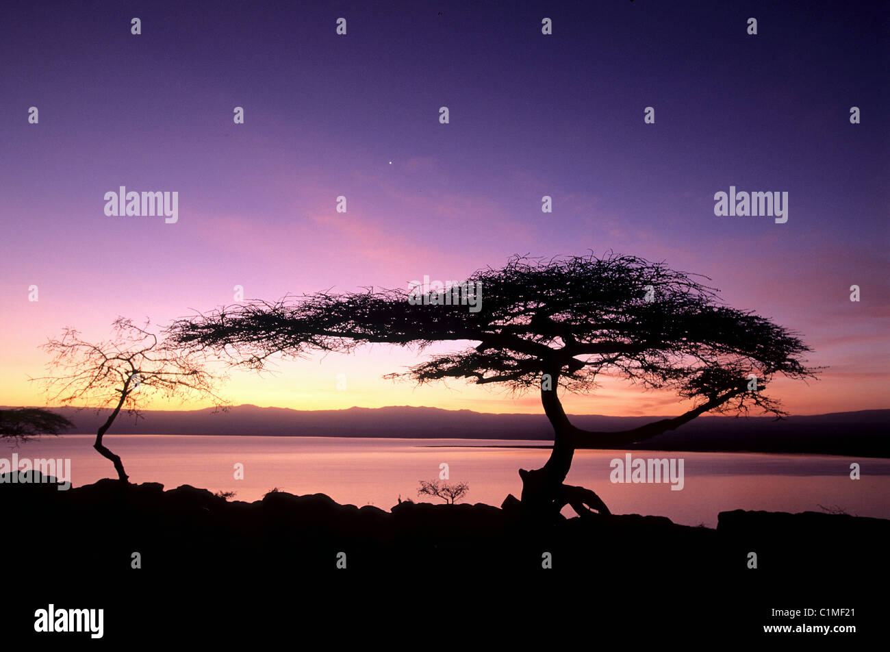 Ethiopia rift valley lake langano hi-res stock photography and images ...