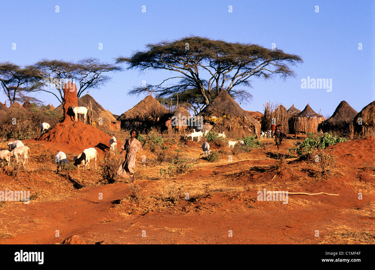 Ethiopia, the South, village of the Borena tribe in the surroundings of ...