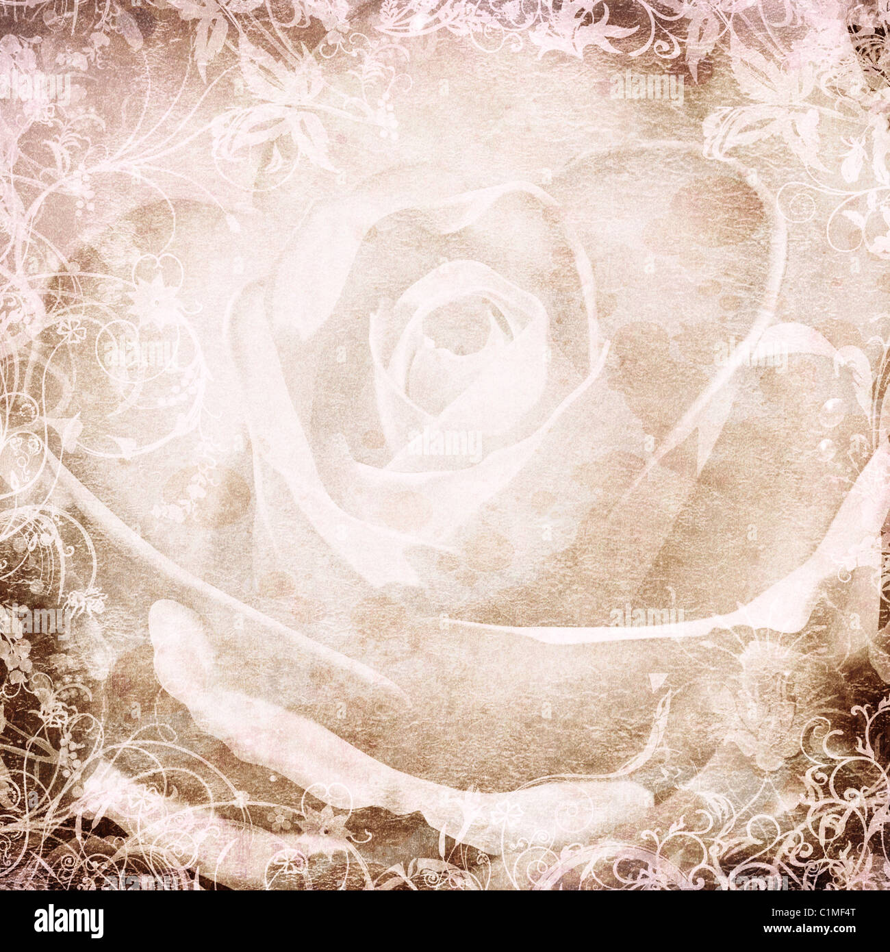 grunge roses background for your design Stock Photo - Alamy