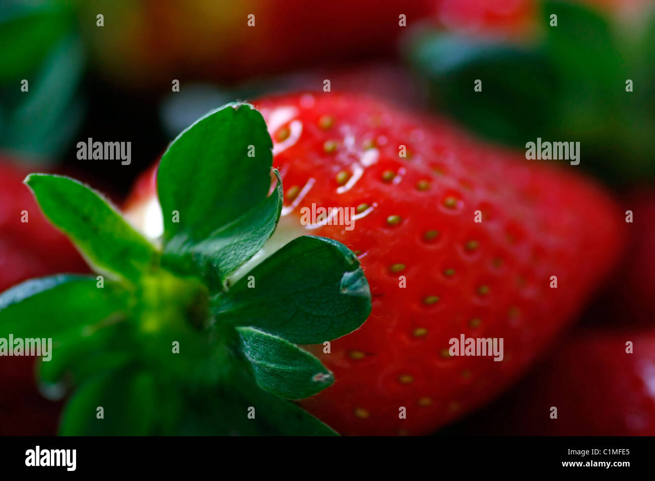 Macro view of a strawberry fruit along others Stock Photo - Alamy