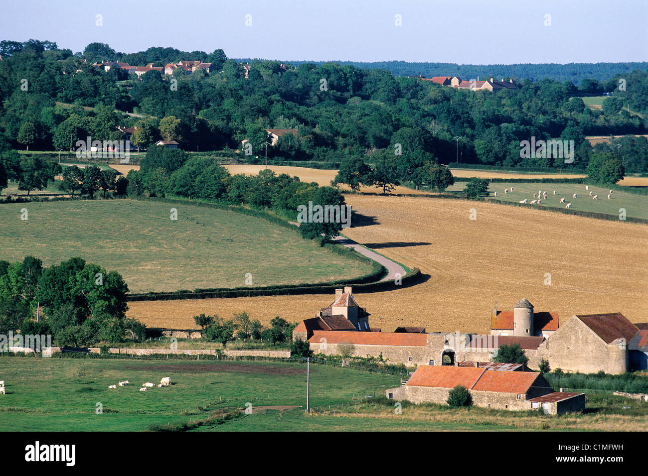 Medieval farm agriculture hi-res stock photography and images - Alamy