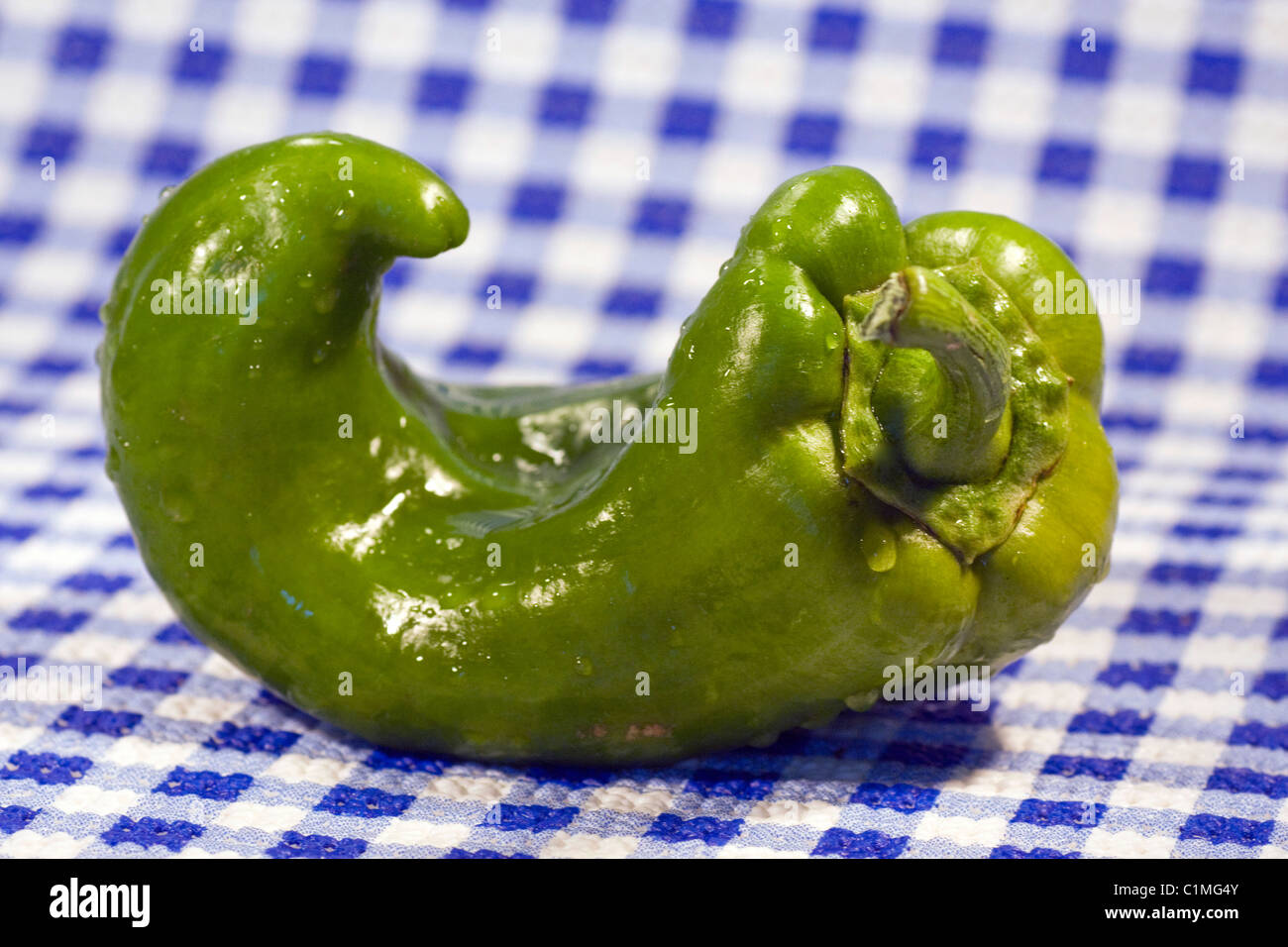 Weird formed green bell pepper vegetable isolated on the kitchen table ...
