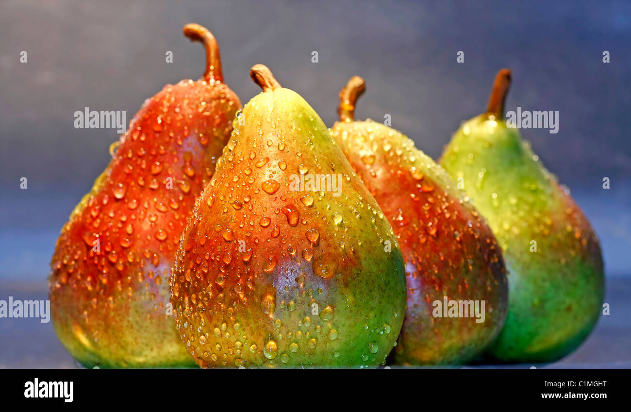 Bunch of wet juicy pears aligned on a gray background Stock Photo - Alamy