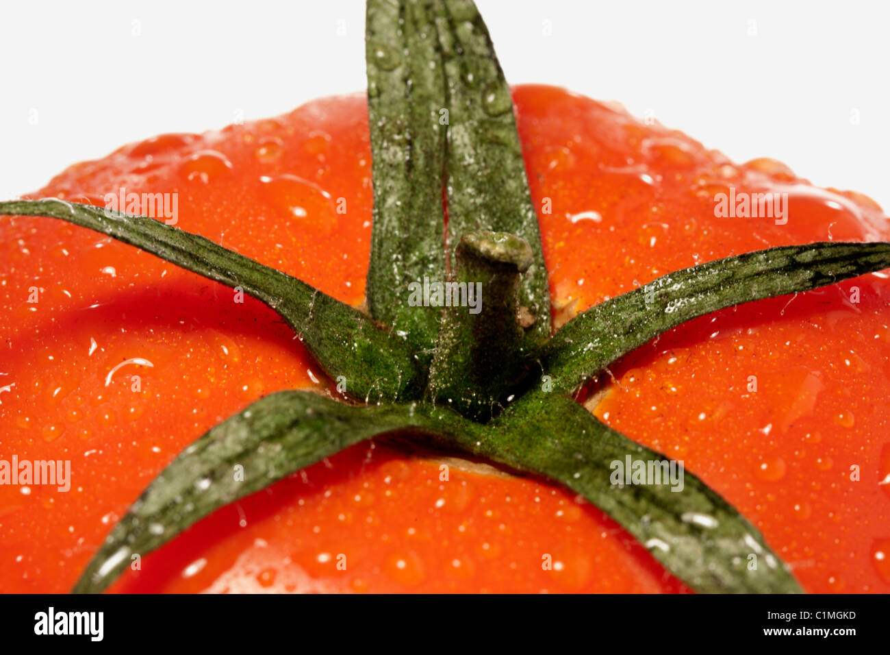 close view detail of a red tomato isolated on a white background Stock ...