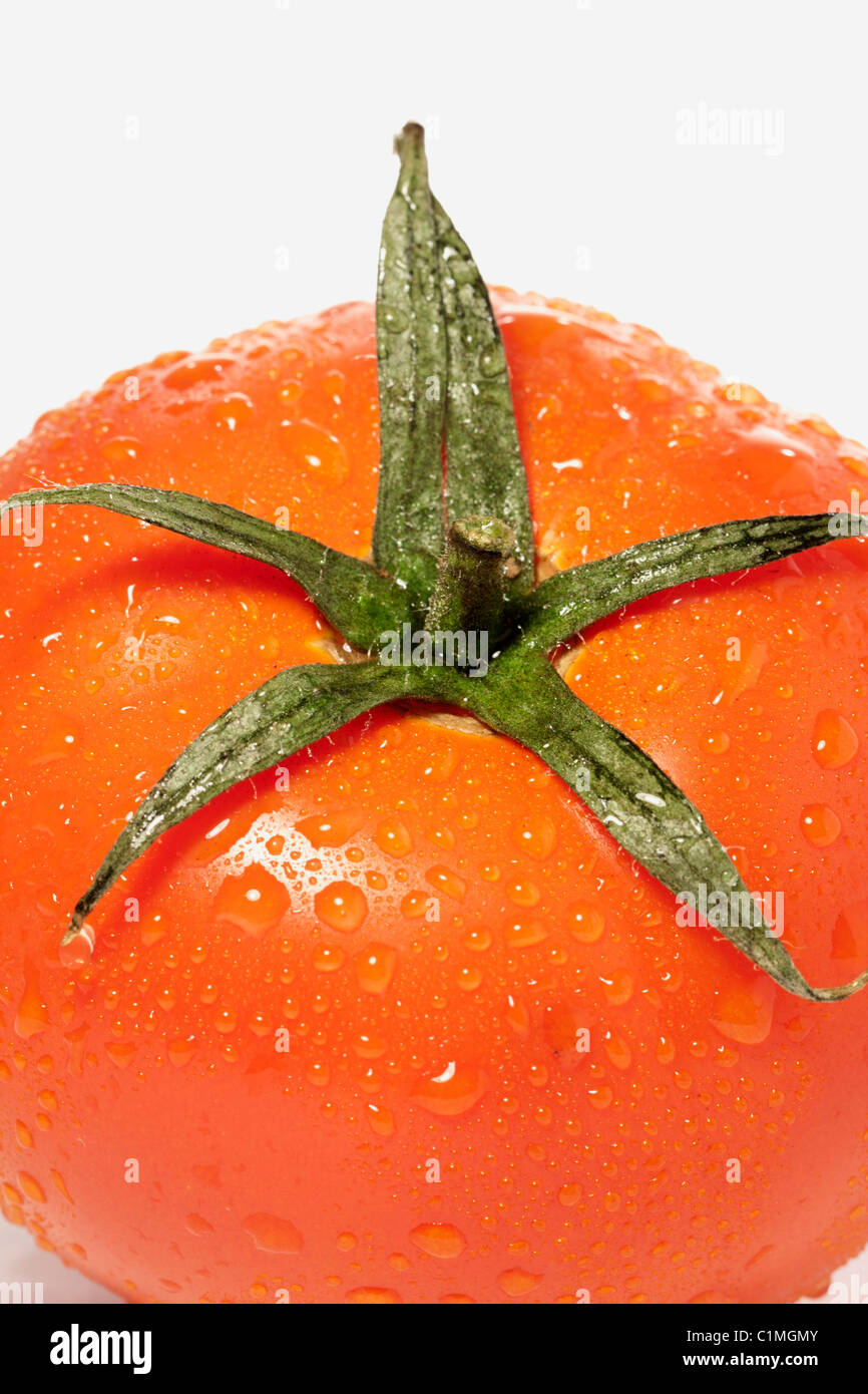 close view detail of a red tomatoe isolated on a white background Stock ...