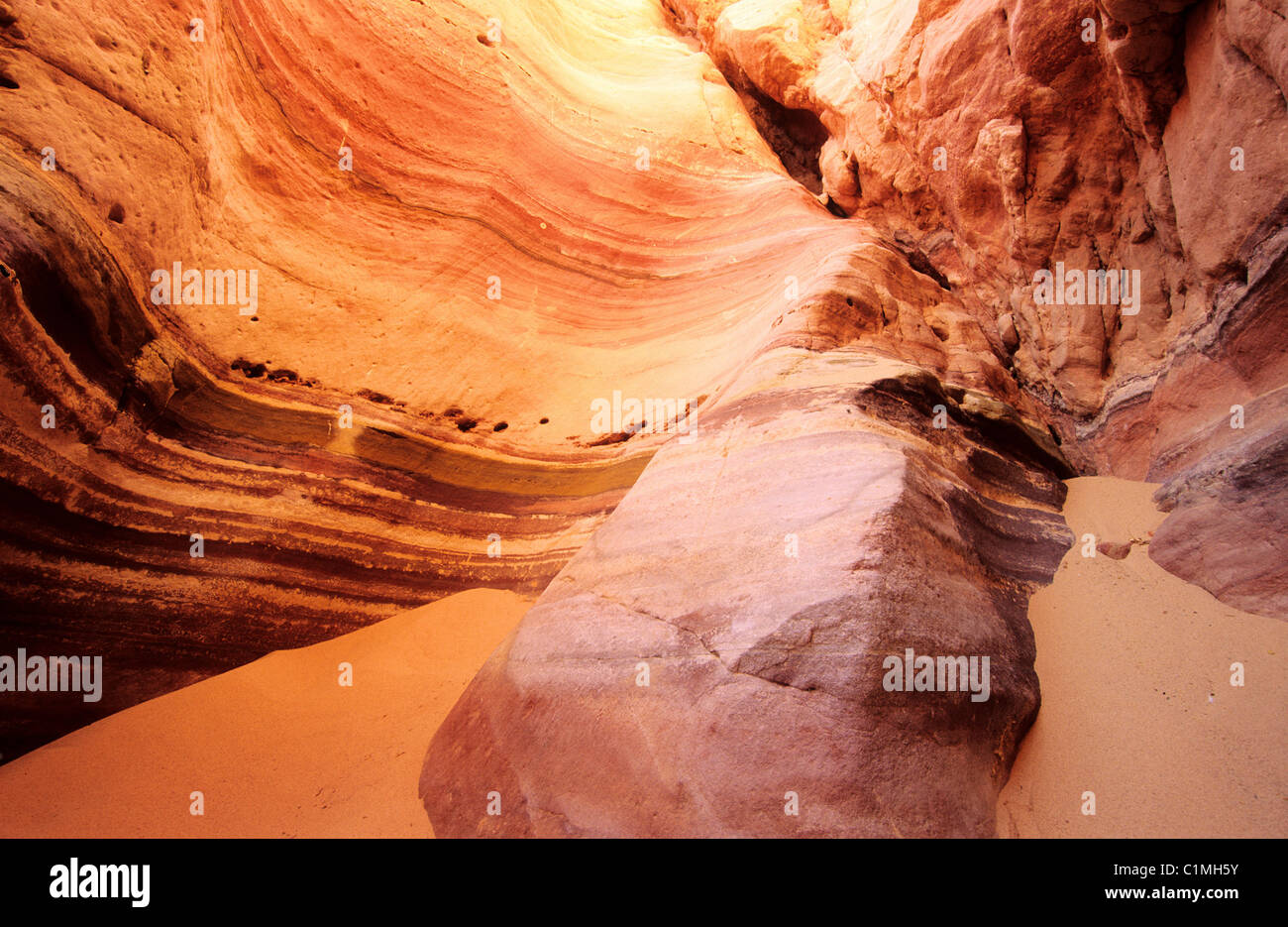Polychromic hi-res stock photography and images - Alamy