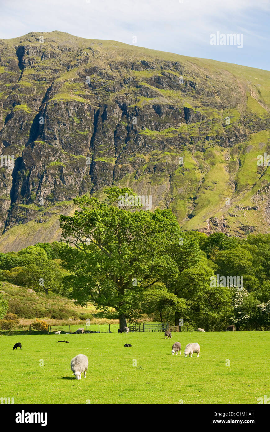 The screes wast water hi-res stock photography and images - Alamy