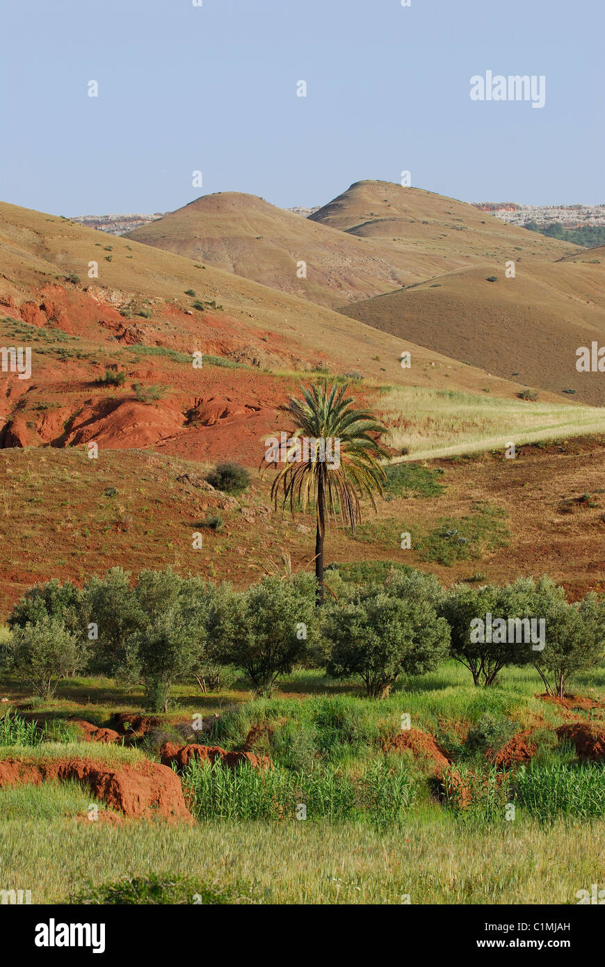 Morocco, High Atlas, Oued Zat, landscape Stock Photo - Alamy