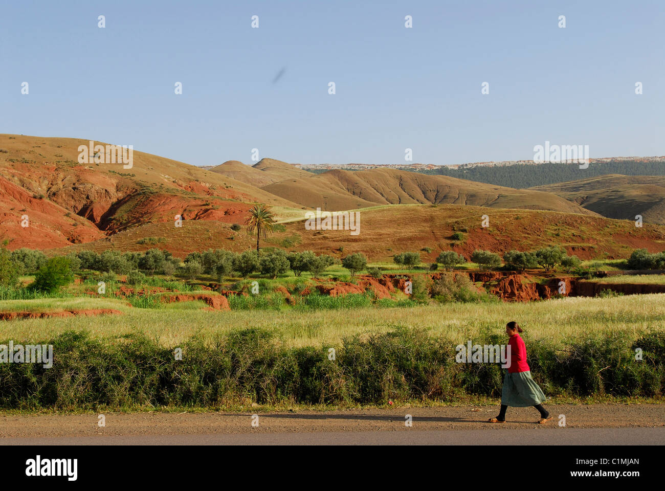 Oued zat hi-res stock photography and images - Alamy