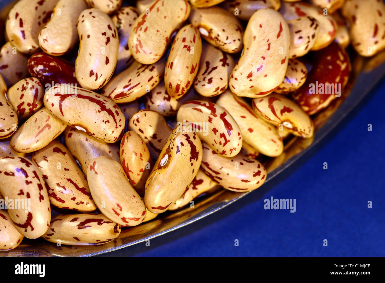 Bunch of pinto beans piled on a plate isolated on a blue background ...