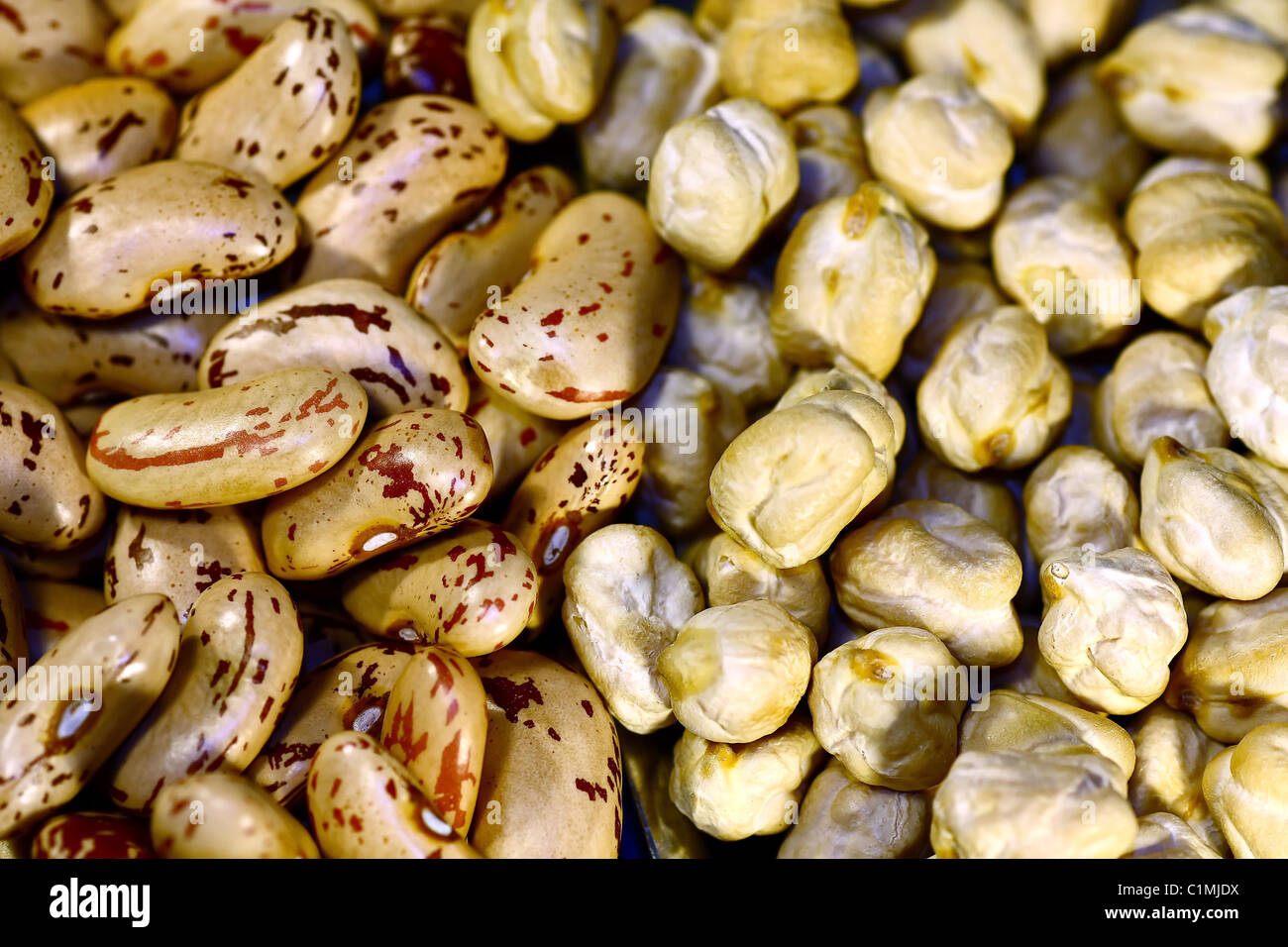 Half pinto beans on the left and half chickpeas on the right Stock ...