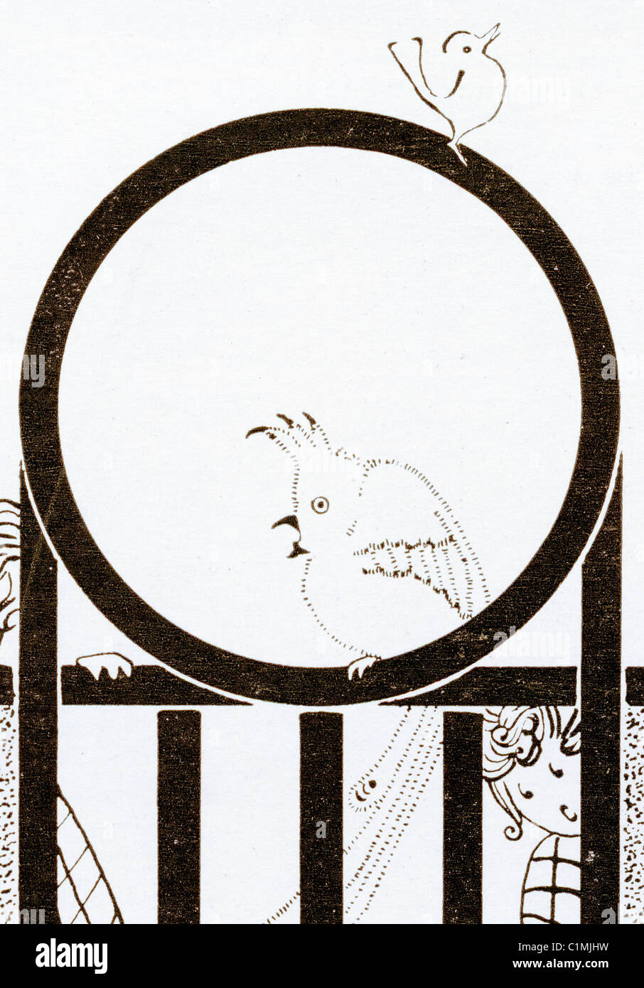 Old lithograph of parrot Stock Photo - Alamy