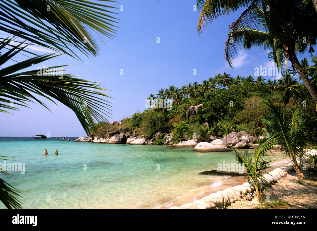 Thailand, gulf of Siam, Ko Tao Island, Sairee beach Stock Photo - Alamy