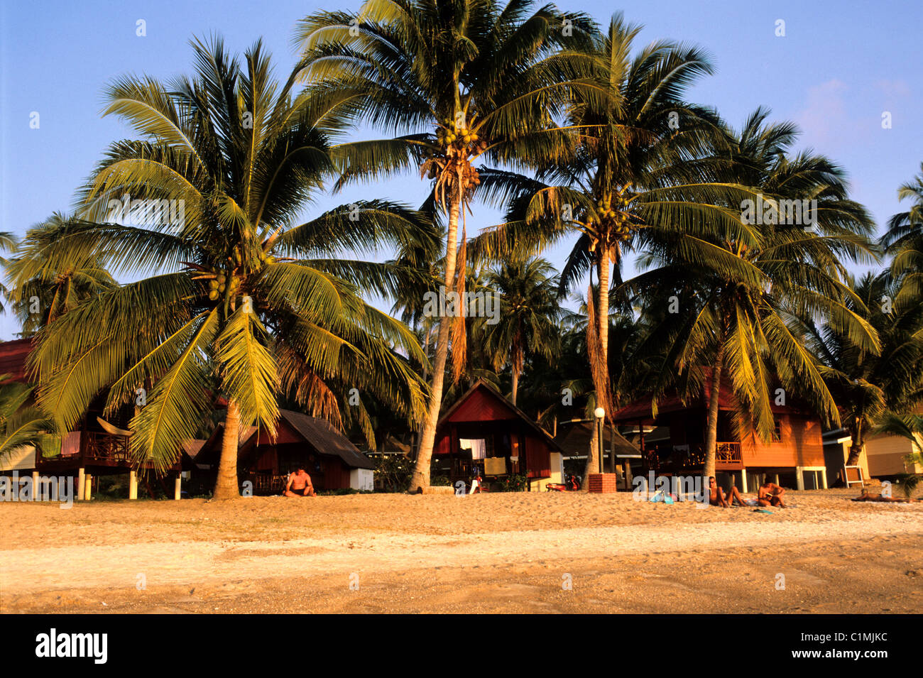 Thailand, gulf of Siam, Ko Tao Island, Sairee beach Stock Photo - Alamy