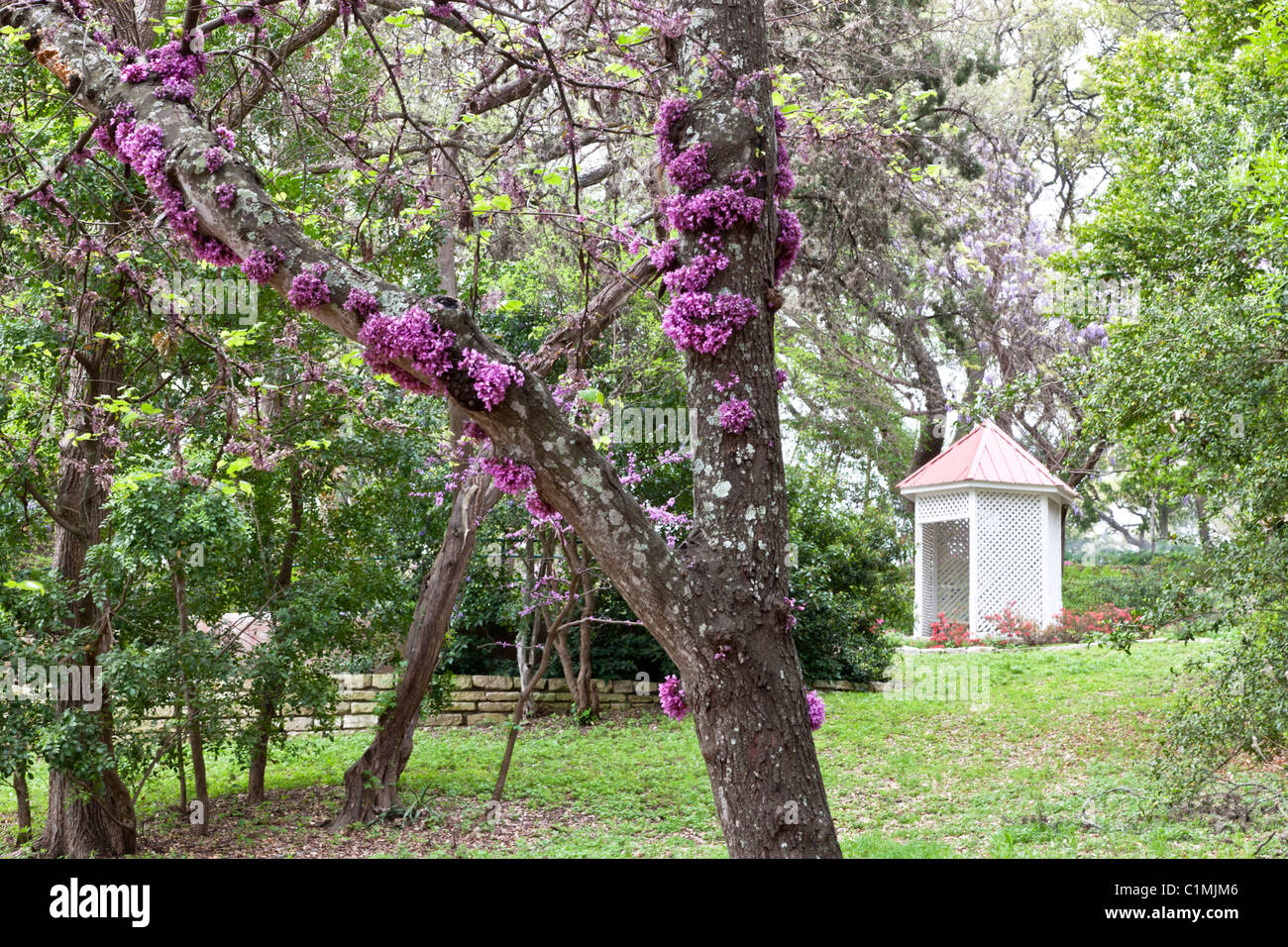 Zilker Botanical Garden Stock Photo - Alamy