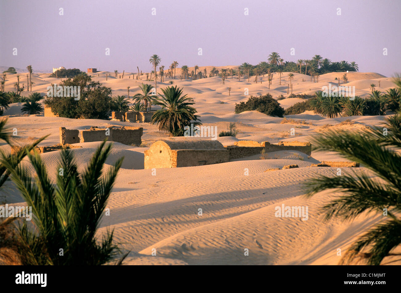 Zaafrane tunisia hi-res stock photography and images - Alamy